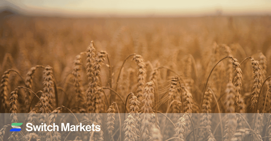 How to Trade Soft Commodities - A Comprehensive Guide - Switch Markets
