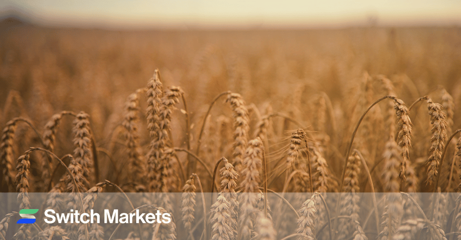 How to Trade Soft Commodities - A Comprehensive Guide - Switch Markets